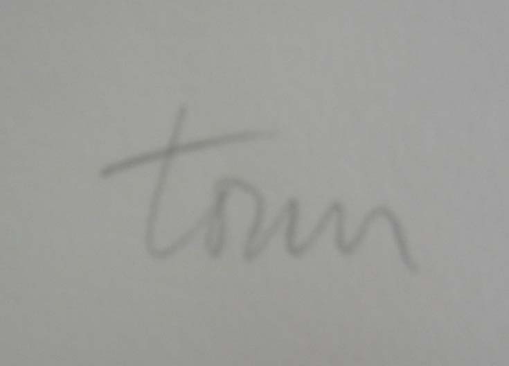 Fernando Torm Embossed Lithograph Hand Signed Artist's Proof Floral 1 ...