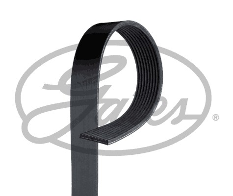 New V-Ribbed Belt 0009937296 0139974392 0149977392 5419970892 ...