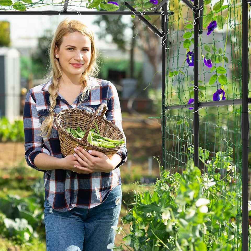 Garden Arch Trellis for Climbing Plants, 79'' Lx79''Wx79'' H Arch Arbor ...