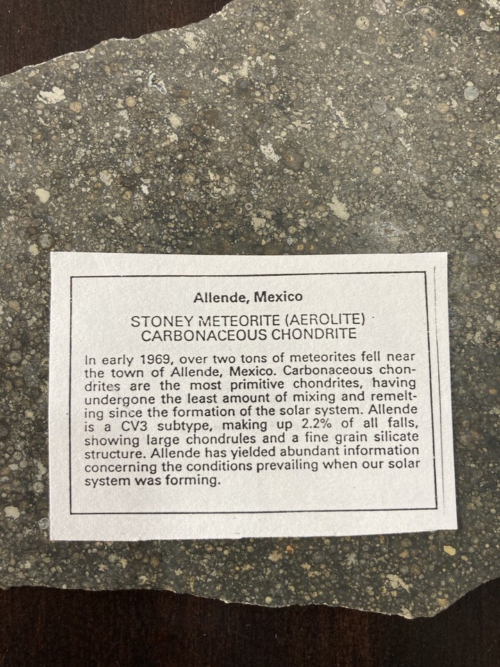 Huge Allende Meteorite Slice From Robert Haag Collection Museum Quality ...