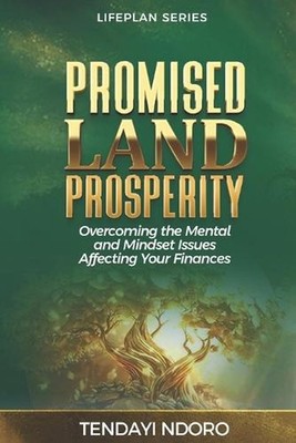 Promised Land Prosperity: Overcoming the Mental and Mindset Issues ...
