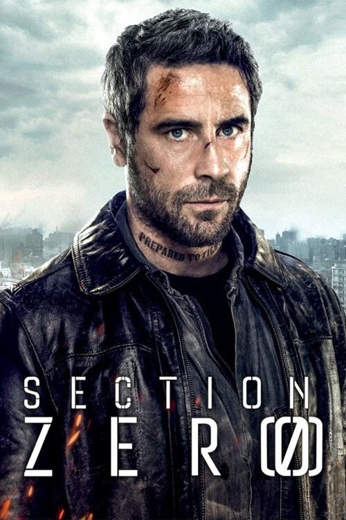 SERIE FRANCIA, SECTION ZERO , 3 DVD, 8 CAPITULOS, 2016 | eBay