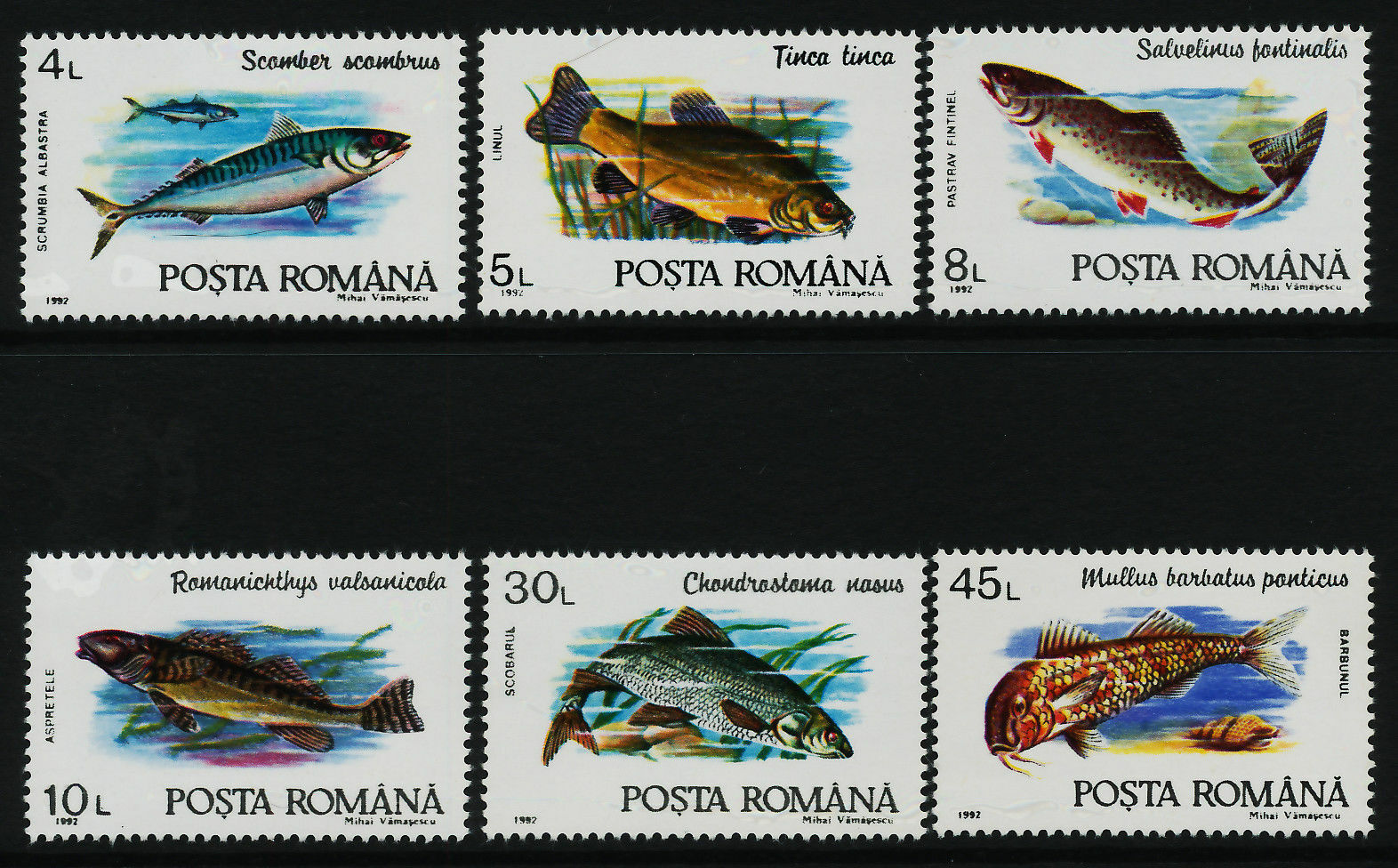 Romania FISH 1992 Topical Mint Never Hinged Complete Set #3728 - 3733 ...