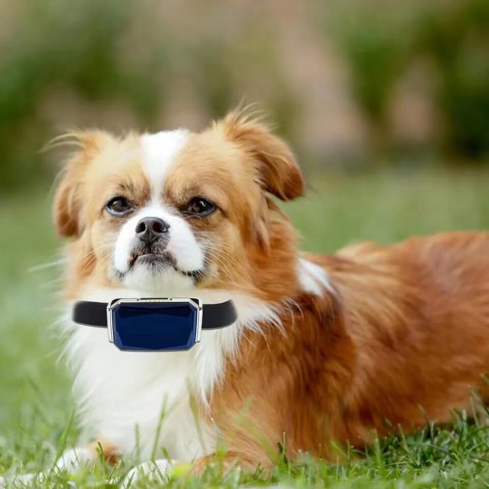Smart Waterproof Pet Locator GPS Location Collar Tracker Anti-lost For ...