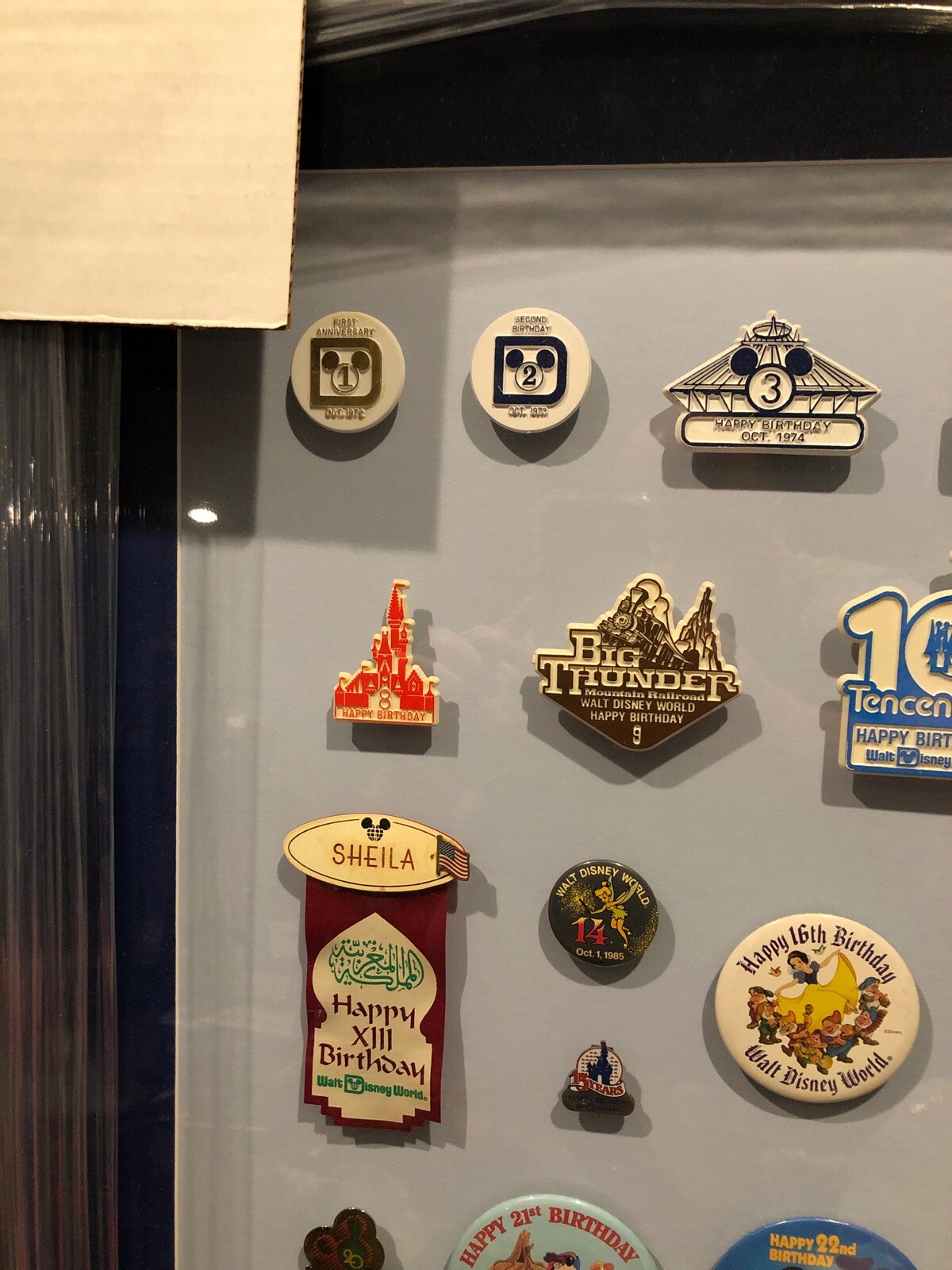 Walt Disney World Anniversary Cast Member Pin Set Framed Year 1 Through ...
