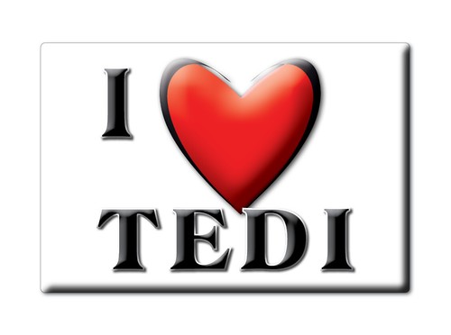 Tedi Magnet Fridge Magnet Name Gift Idea Joke Birthday Recurrence | eBay
