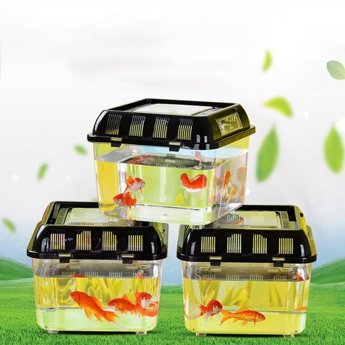 Handheld Portable Fish Tank Plastic Reptile Carrier Turtle Tank Fish ...