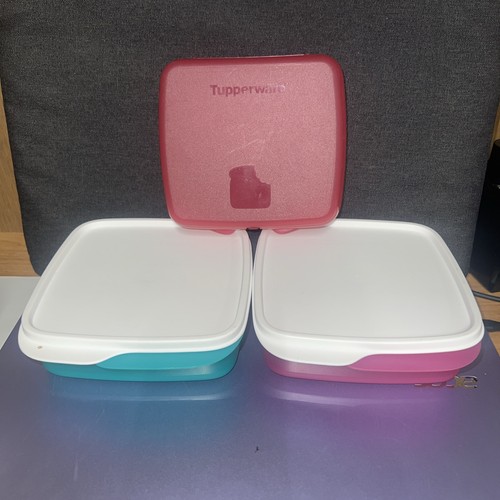 3 Tupperware Lunch Boxes 2-Lunch-It Divided Containers! Pink, Aqua 1 ...