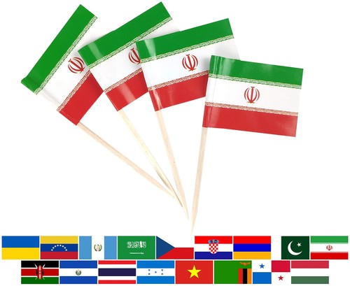 Iran Toothpick Flag Iranian Mini Small Cupcake Topper Flags 100 pcs | eBay