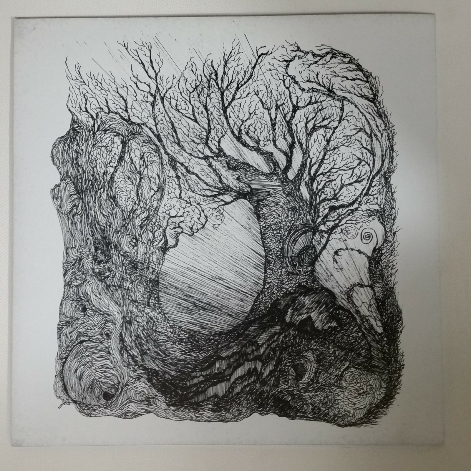 BARBELITH Caverns Of The Mind b/w Rebirth FBO010 7" 45rpm Vinyl VG++ PS ...