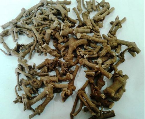 Pippalimul, Pippali Mool, Pippalimool, Piper Longum, Long Pepper, ROOT ...