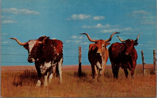 1960s J&J Eat Shop Bristow, Oklahoma Restaurant Vintage Postcard, Photo ...