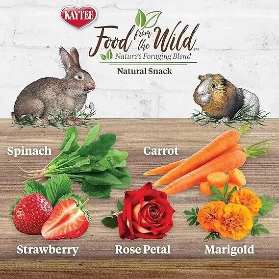 Kaytee Rabbit Healthy Diet Dry Food For Pets rabbits, guinea pigs small ...