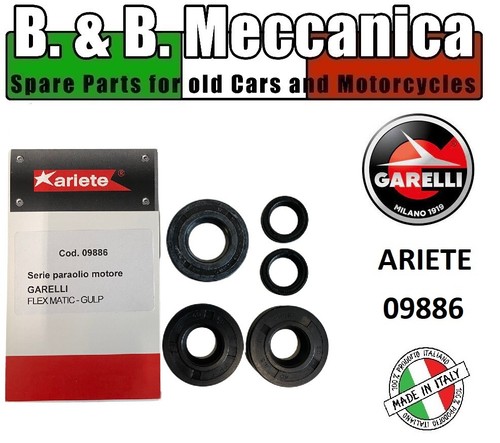 Engine Seal Kit Garelli Flexmatic Gulp Ariete 09886 | eBay