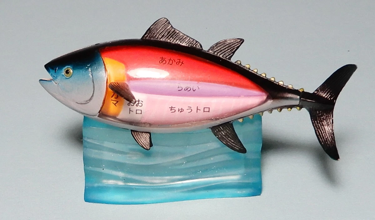 Tuna Fish Anatomy