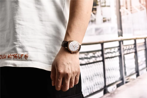 PAGANI DESIGN Top Men's Watches Japan Seiko NH65 Wrist Watch | eBay ...