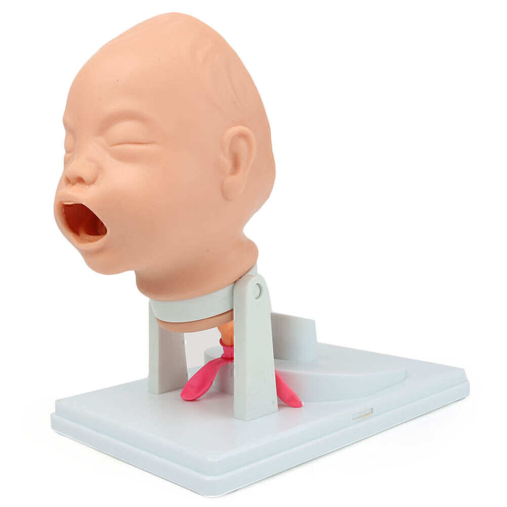 Medical Mannequin For Training Neonatal Intubation Trainer, PVC ...