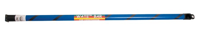 Cando 10-1609 Exercise Wate Bar 6 lbs Weight for sale online | eBay