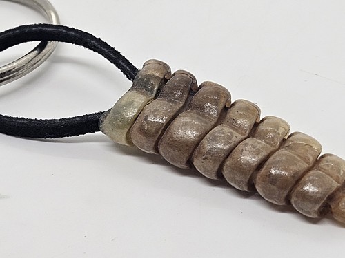 Vintage Southwestern Real Rattlesnake Snake Rattle Tail Keychain Key ...