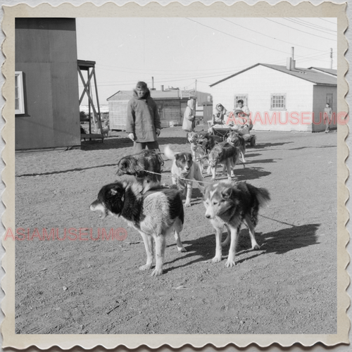 50s UTQIAGVIK NORTH SLOPE BARROW ALASKA ARCTIC DOG SLED TEAM OLD USA ...