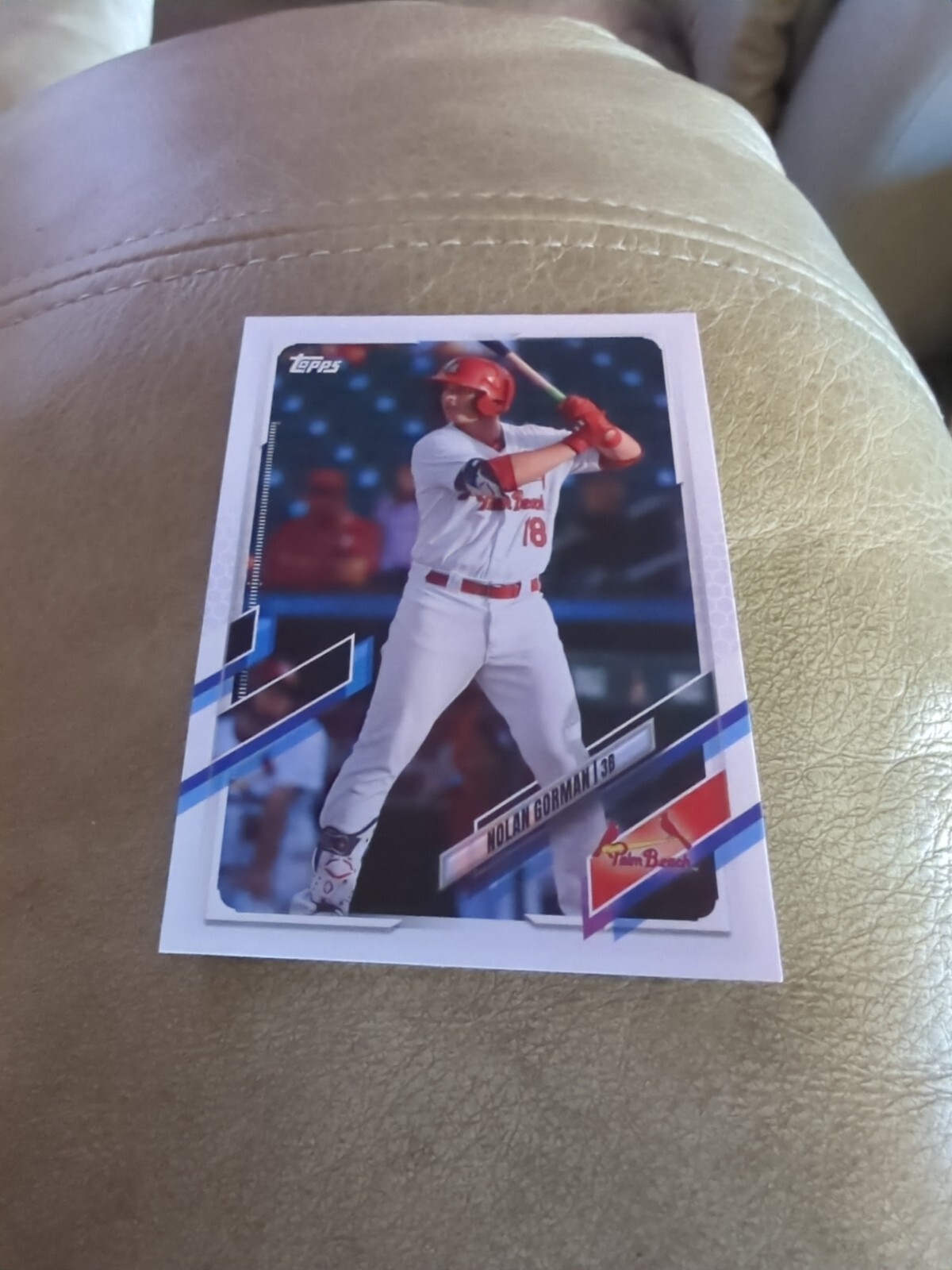 2021 TOPPS PRO DEBUT NOLAN GORMAN PALM BEACH CARDINALS #PD-14 | eBay