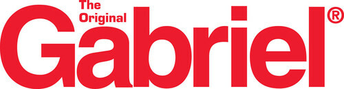 Suspension Strut-Gas Ryder Struts Featuring VST Gabriel G55596 for sale ...