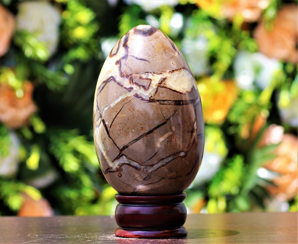 135MM Yellow Septarian Egg Septaria Septeyre Chakra Crystal Healing ...