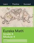 Eureka Math, Learn Practice Succeed, Grade 6 Module 4, c. 2015 ...