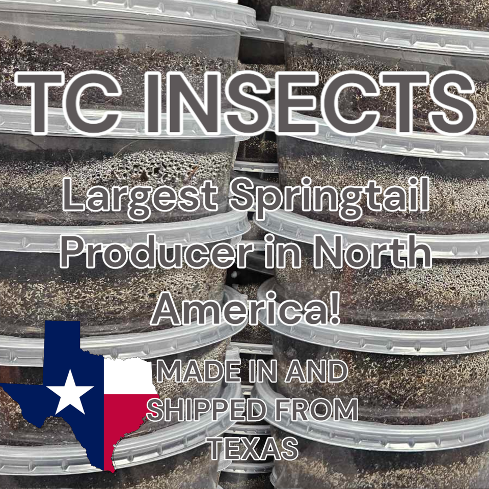 Springtails | Coco Temperate 8oz | Live Arrival & FREE SHIPPING ...