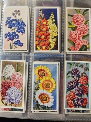 9 tea/cigarette card sets, flowers/trees, typhoo etc | eBay UK