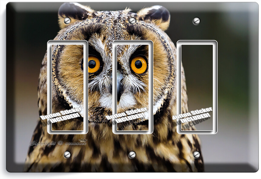 BEAUTIFUL EARED OWL WILD BIRD LIGHT SWITCH OUTLET WALL COVER PLATE ROOM ...