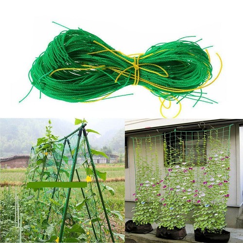 Vegetable Flower Climbing Net Vines Holders Grow Support Garden Plants ...