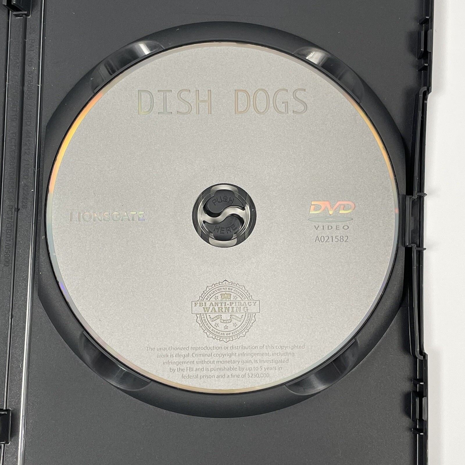 Dish Dogs - 2000 Film, Shannon Elizabeth, Sean Astin, Matthew Lillard ...