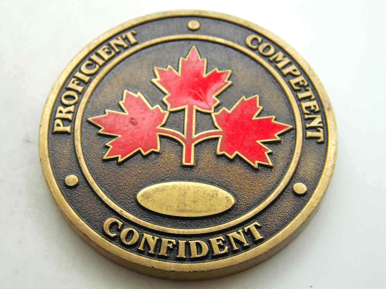 ISAF TASK FORCE 3-08 NATIONAL SUPPORT ELEMENT CHALLENGE COIN | eBay