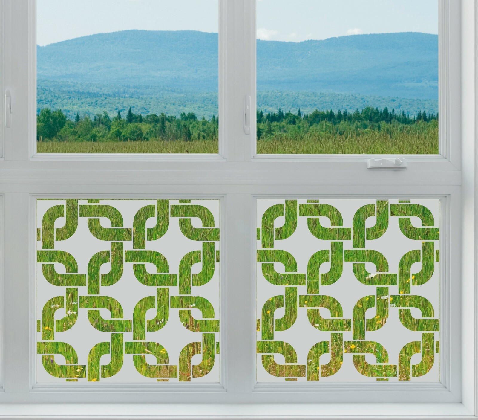 Privacy etched glass window etching door film frosted TWISTED RINGS ...