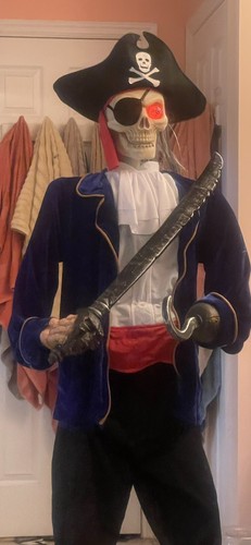 Home Depot Home Accents Holiday 63” Animated Pirate Captain retired ...