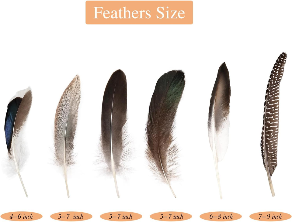 60Pcs Natural Pheasant Feathers Bulk Spotted Feathers 6 Styles Mixed ...