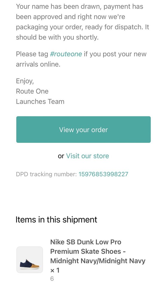 Nike SB Dunk Low Pro PRM ‘90s Backpack’ UK6 US7 | eBay UK