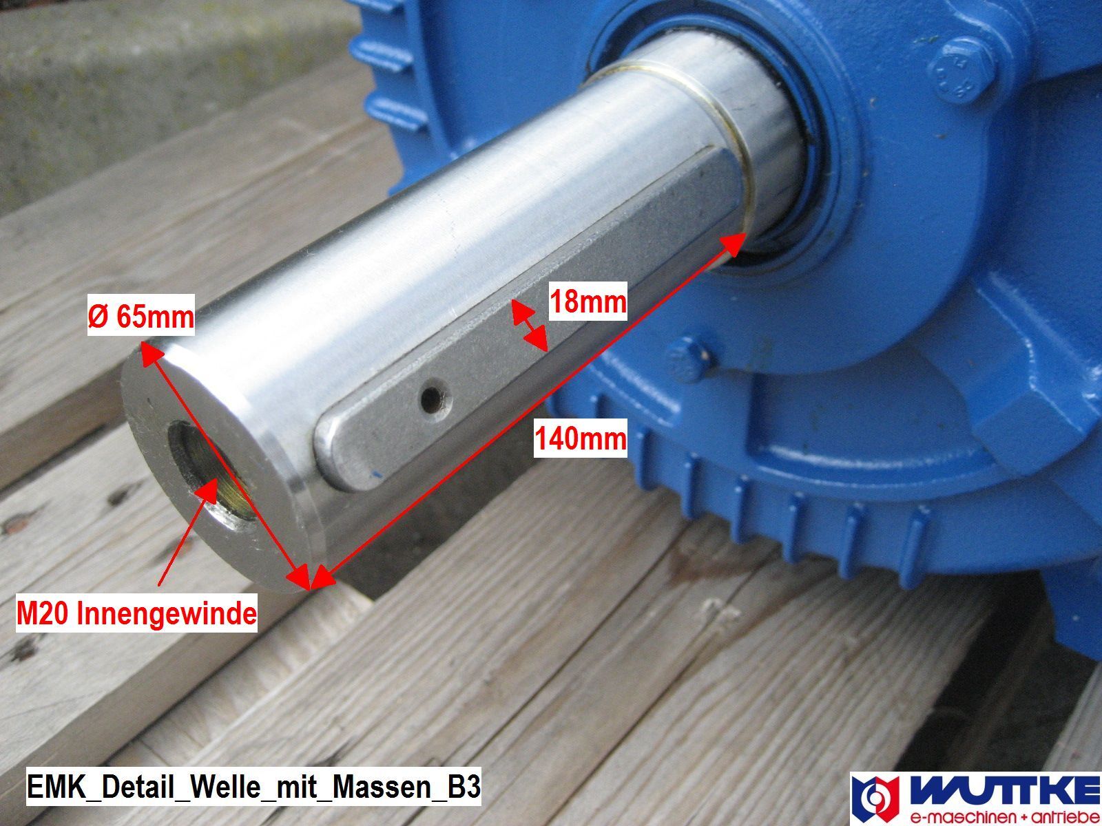 EMK Elektromotor Drehstrom 55kW 1500/min Welle 65mm 250M B3(Fuß) IE3 ...