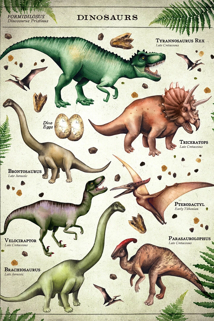 Types Of Dinosaurs