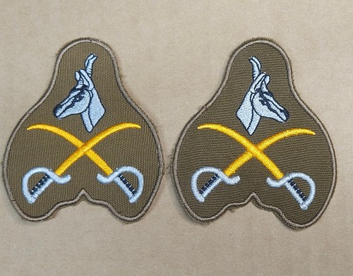 South African Army Bush War Advanced PTI Instructor Arm Badges ...