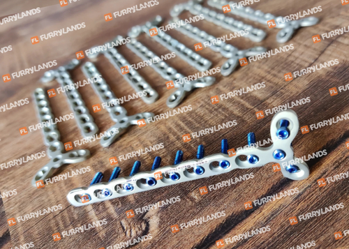 Locking Y Adaption 2.4mm Plates 3+8 Holes With Self-Tapping Screws 80 ...