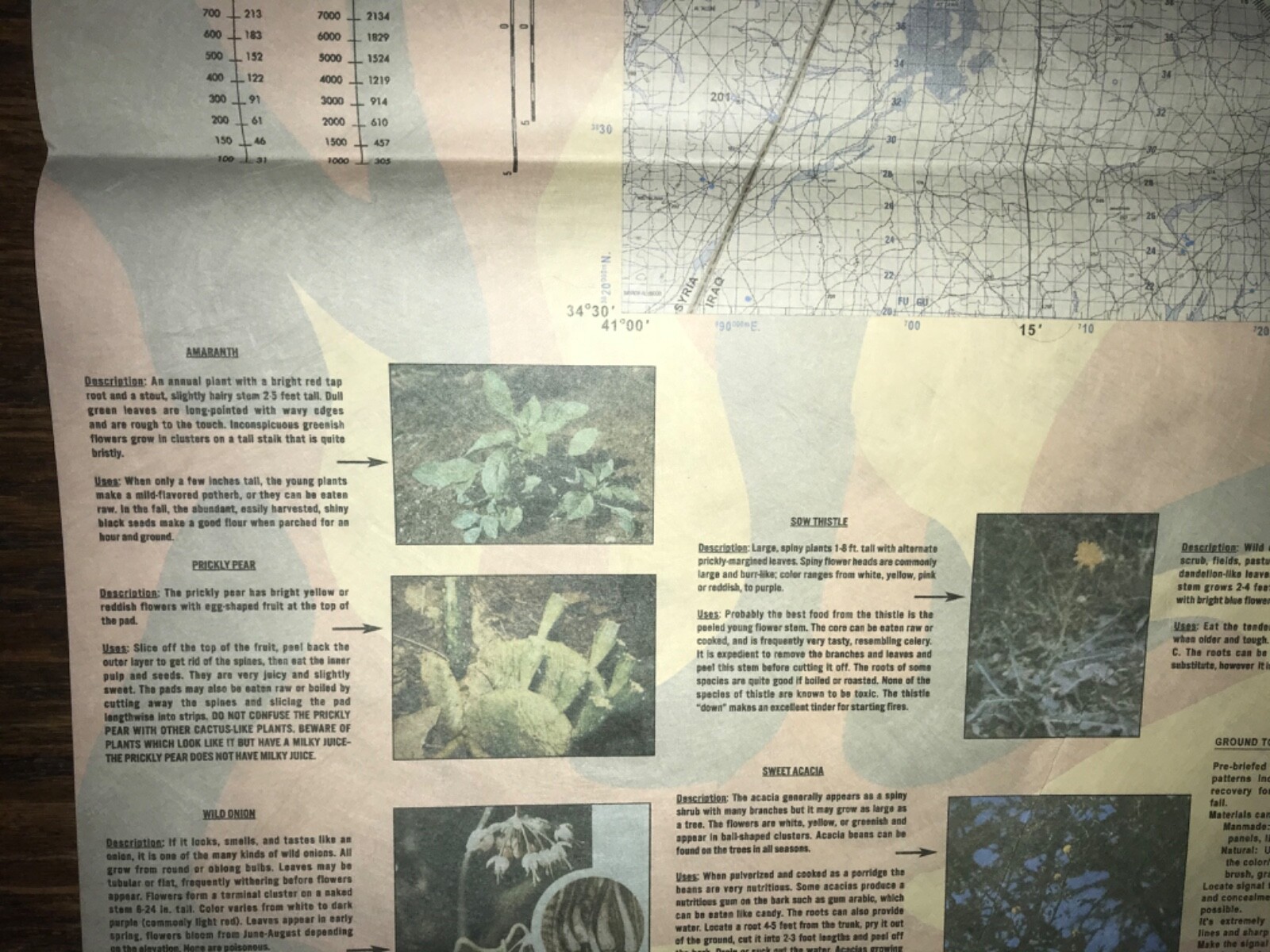 MAP EVC NI-38D US MILITARY ESCAPE EVASION CHART IRAQ IRAN SYRIA 2002 ...