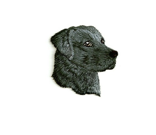 Dog - Lab -Labrador - Pet - Embroidered Iron On Applique Patch - Crafts ...