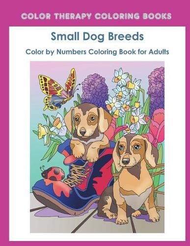 Color Therapy Color Color by Numbers Adult Coloring Book of Small Br ...