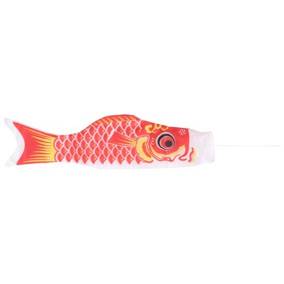 70 Cm Funny Flag Wind Sock for outside Heavy Duty Red Windsock Carp | eBay