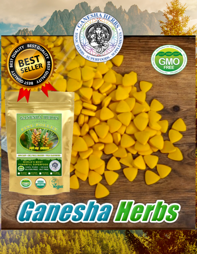 PINE POLLEN TABLETS 200 x 500mg. Wild Harvested (No Capsules) #1 ...