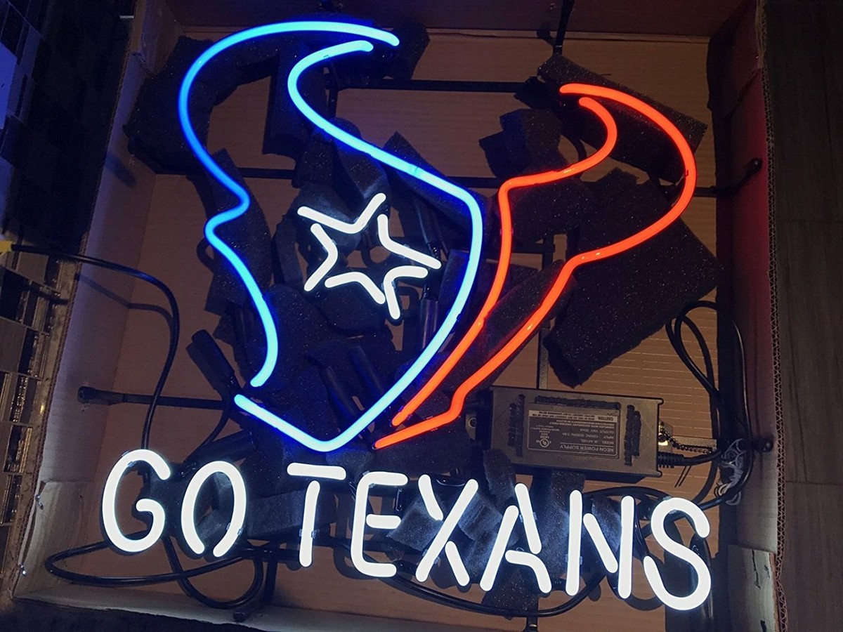 Go Texans Logo