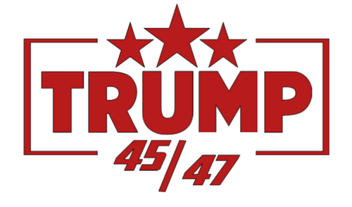 Vinyl Car Decal Sticker - TRUMP 45 / 47 MAGA President star truck ...