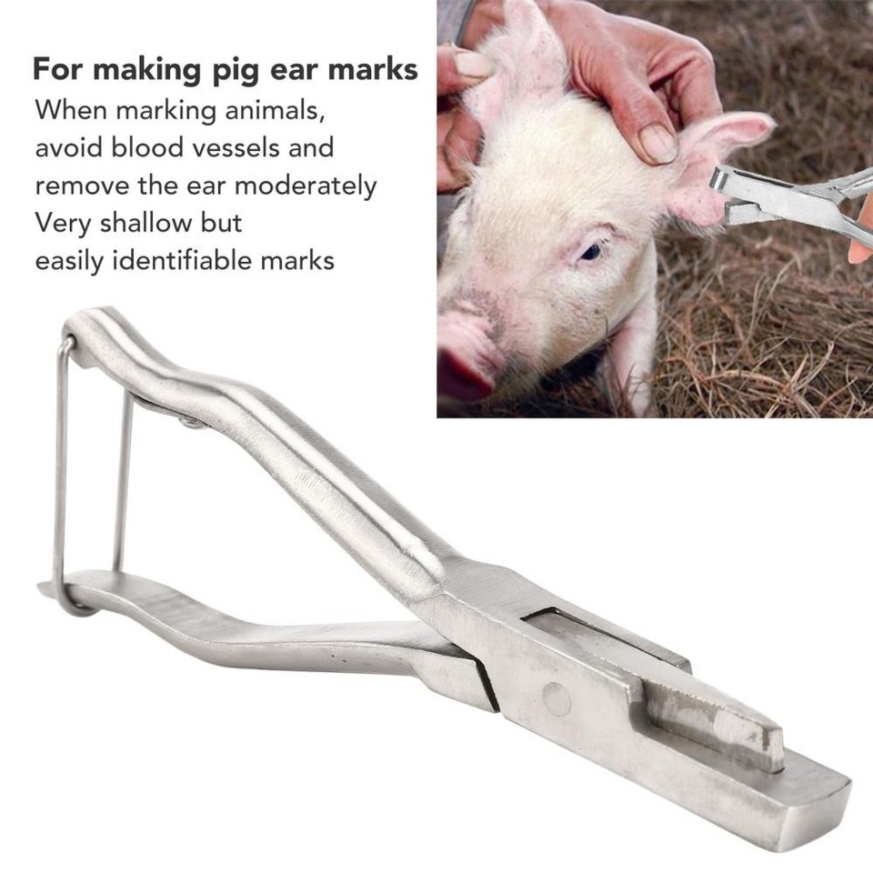 Ear Tag Plier Stainless Steel Animal Ear Notcher With Safe Buckle For ...